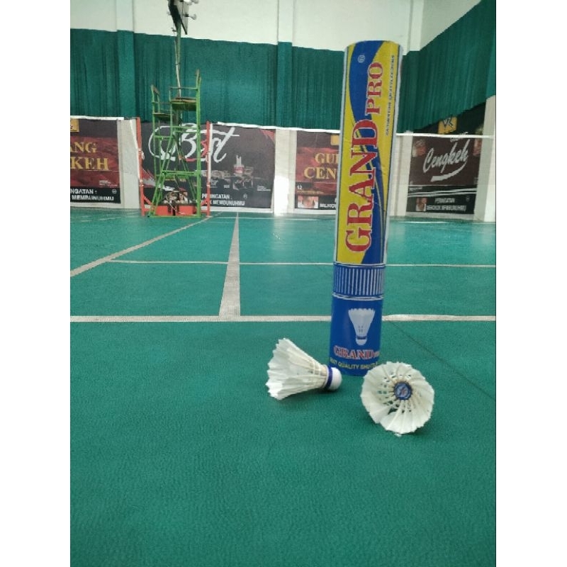 Jual SHUTTLECOCK BULUTANGKIS GRAND PRO BERKUALITAS ISI 12/SLOP | Shopee ...