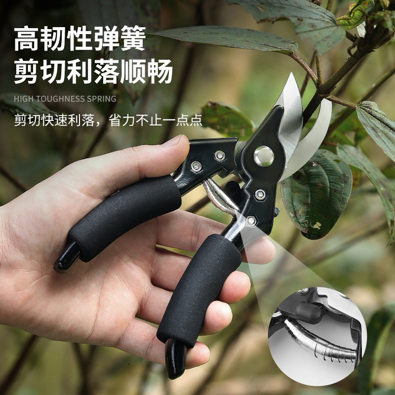 Jual Gunting Dahan SK-5 35MM / Ranting Bunga Tanaman Hias | Shopee ...