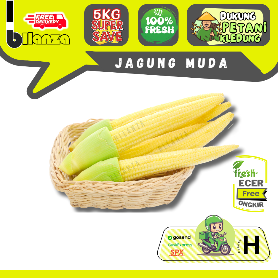Jual Bllanza | Jagung Muda / Janggel / Posol — Baby Corn / ECER (H ...