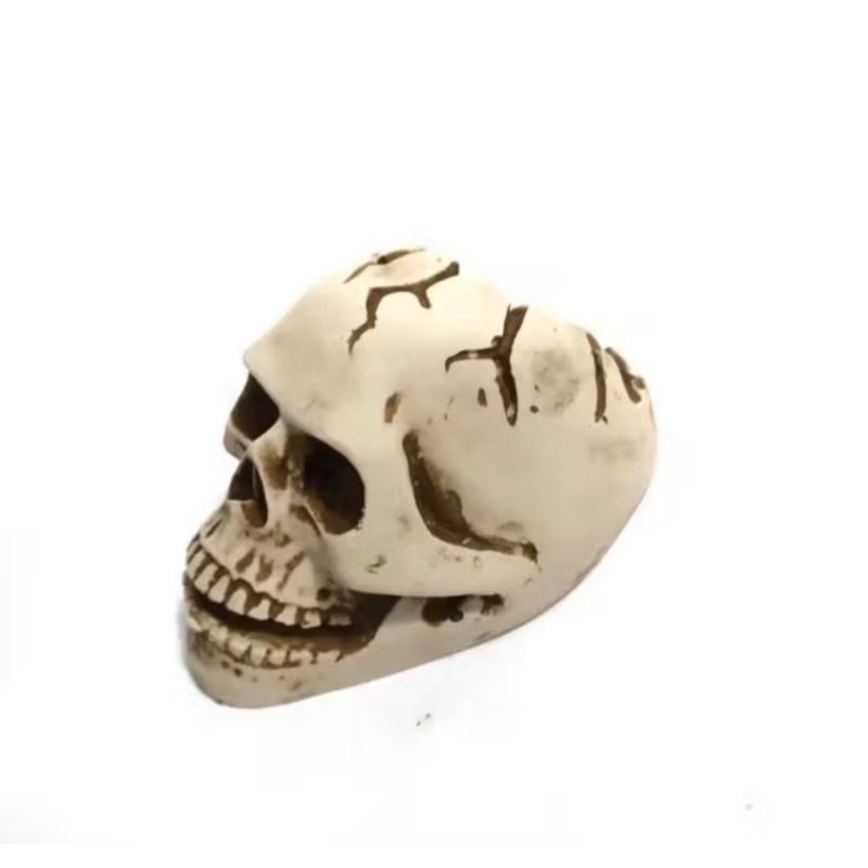 Jual PROMO(TERMURAH) pajangan asbak rokok bentuk kepala tengkorak ...