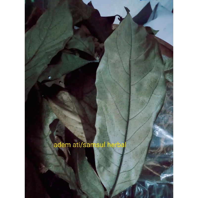 Jual daun adem ati kering herbal/harga perlembar | Shopee Indonesia
