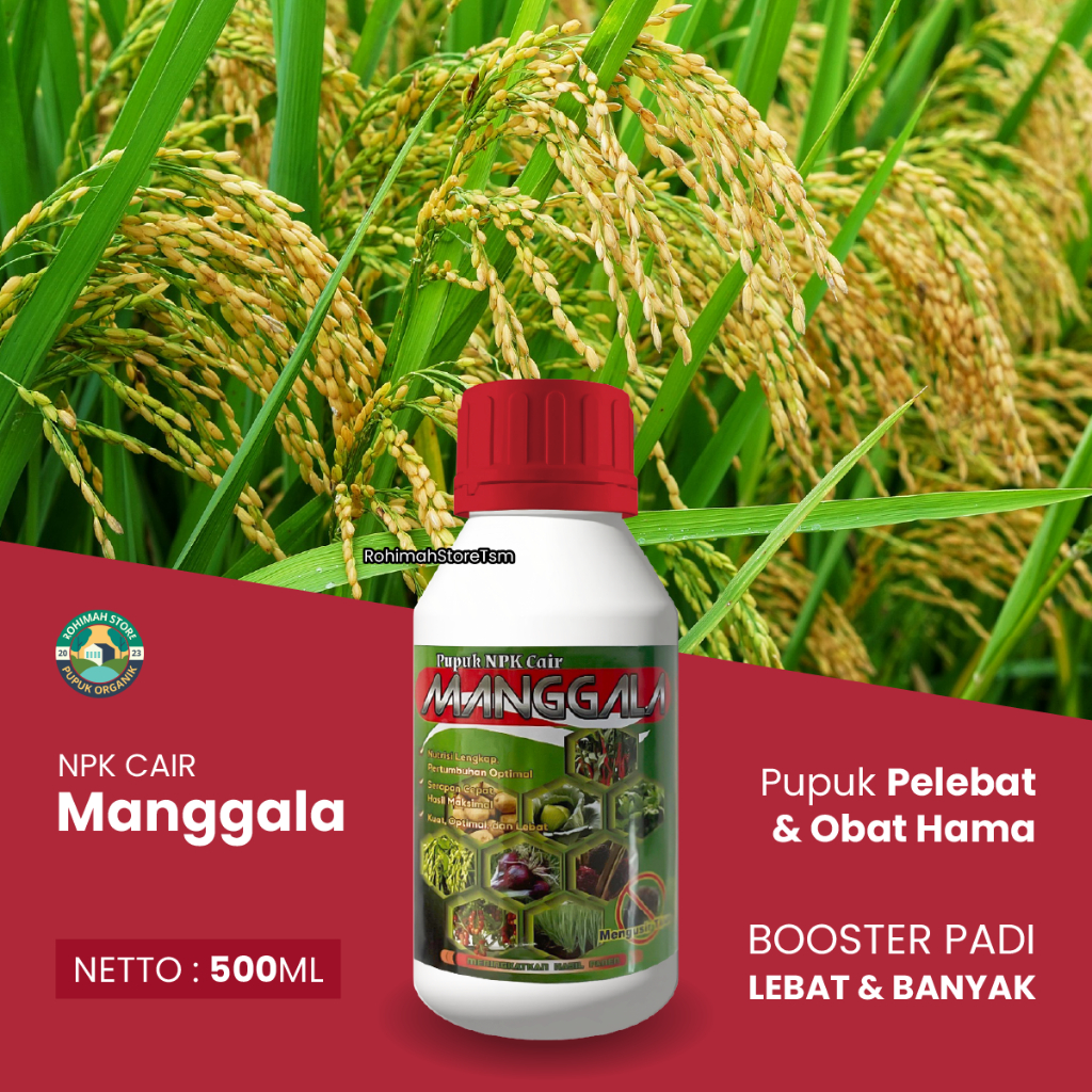 Jual NPK Cair Manggala Melebatkan Tanaman Anakan Padi Hasil Panen Melimpah, Obat Semprot Untuk ...