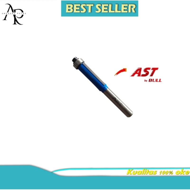 Jual Mata profil AST LAMINATED FLUSH BIT 10mm | Shopee Indonesia