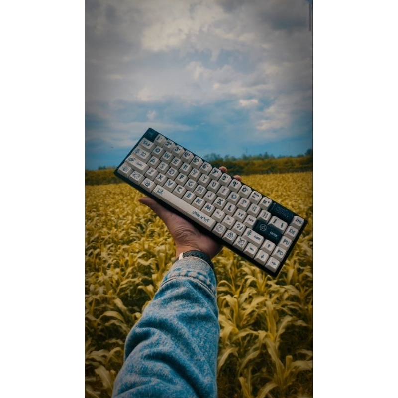 Jual Keyboard Mechanical Custom Rexus Daiva D68 Gaming Simple | Shopee ...