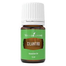 Jual Essential Oil Cilantro - 5ml | Shopee Indonesia