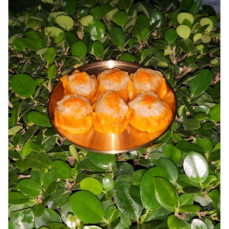 Jual DIM SUM SALMON HALAL DIMSUM | Shopee Indonesia