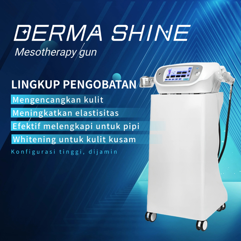 Jual Dermashine pro rf microneedle mesogun alat mesotherapy non needle ...