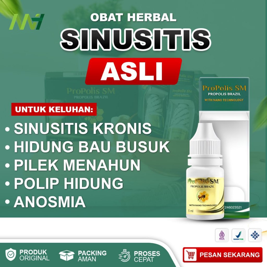 Jual Obat Sinusitis Polip Untuk Hidung Pilek Sinus Menahun Tersumbat Ingus Mampet Bau Herbal ...