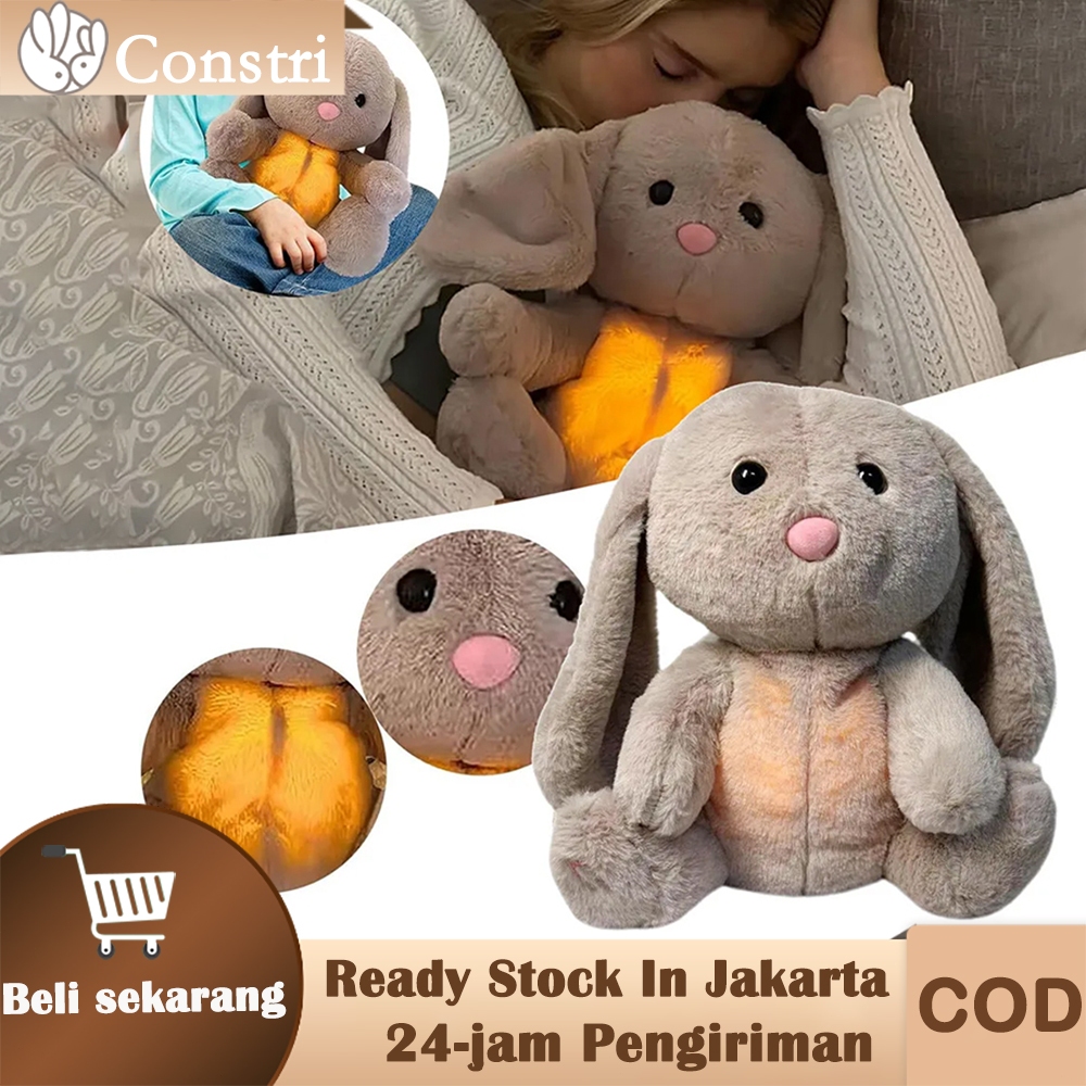 Jual Breathing Snuggle Kelinci Musical Plush Baby Toy Fisher-Price ...