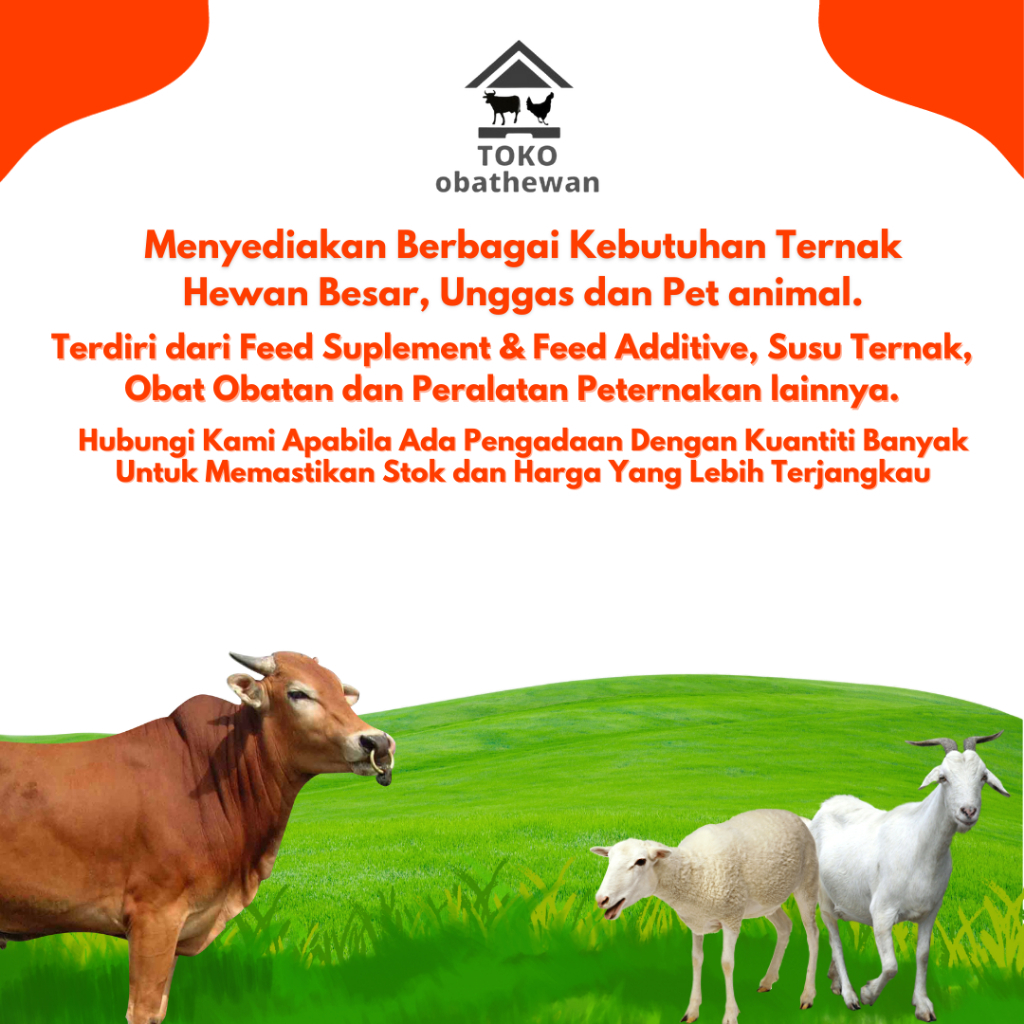 Jual TYLOCARE 100ML - Tylosin Obat Batuk Flu Pneumonia untuk Ternak ...