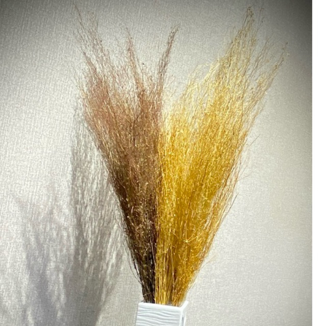 Jual Ranting kering halus natural hiasan buket bunga | Shopee Indonesia