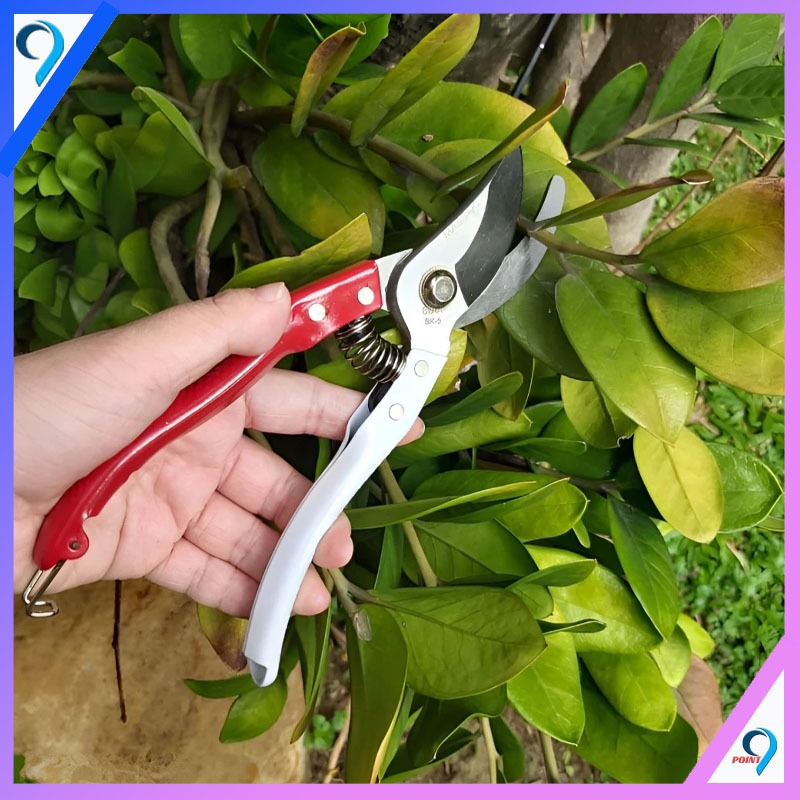 Jual Gunting Dahan Ranting Bunga Bonsai Stainless Steel SS - 6807 8 ...