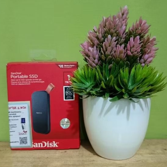 Jual SandDisk Portable SSD 1 TB 800 MB/s New Garansi Resmi Datascrip ...