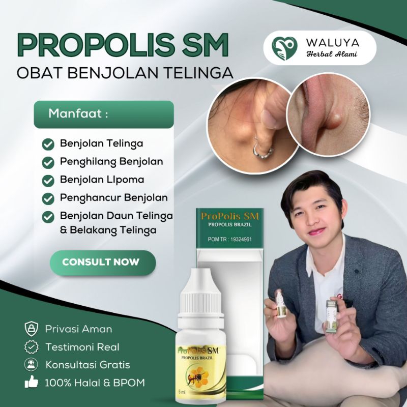 Jual Obat Benjolan Di Telinga, Penghancur Benjolan Telinga, Penghilang ...