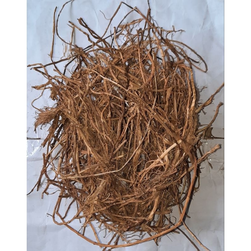 Jual akar alang alang ( jamu herbal ) ( 1 ons / 100 gram ) | Shopee ...