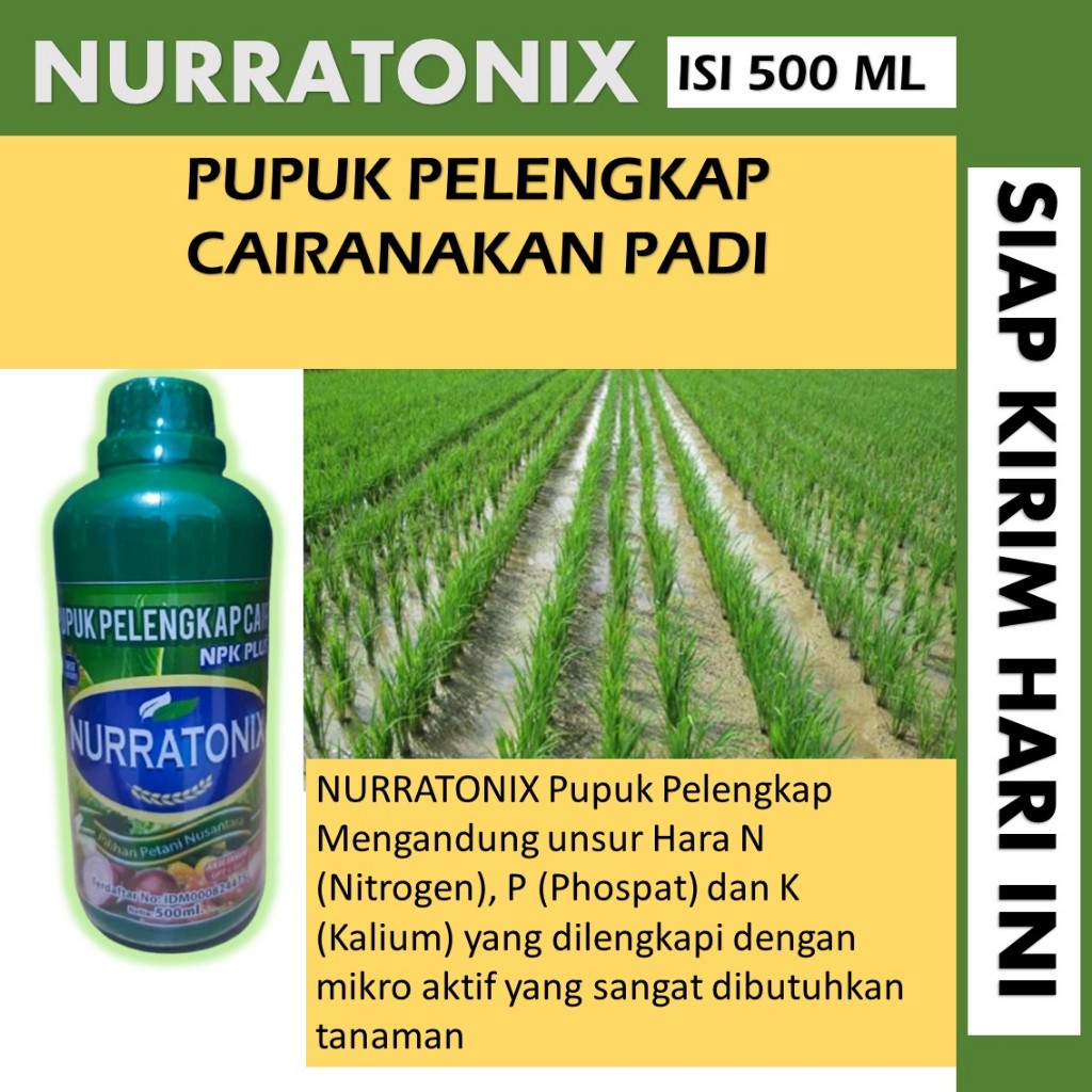 Jual PUPUK ANAKAN PADI Biar Banyak Pupuk nurratonix 500ML Pupuk Ajaib Perbanyak Anakan Padi yang ...