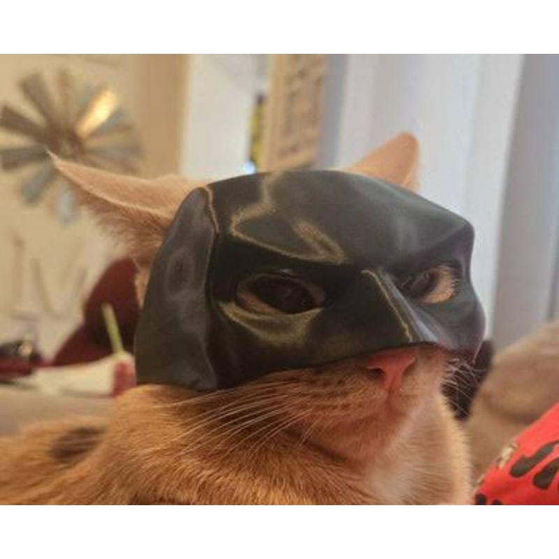 Jual BATCAT TOPENG KUCING BATMAN MASK CAT AKSESORIS KUCING | Shopee ...