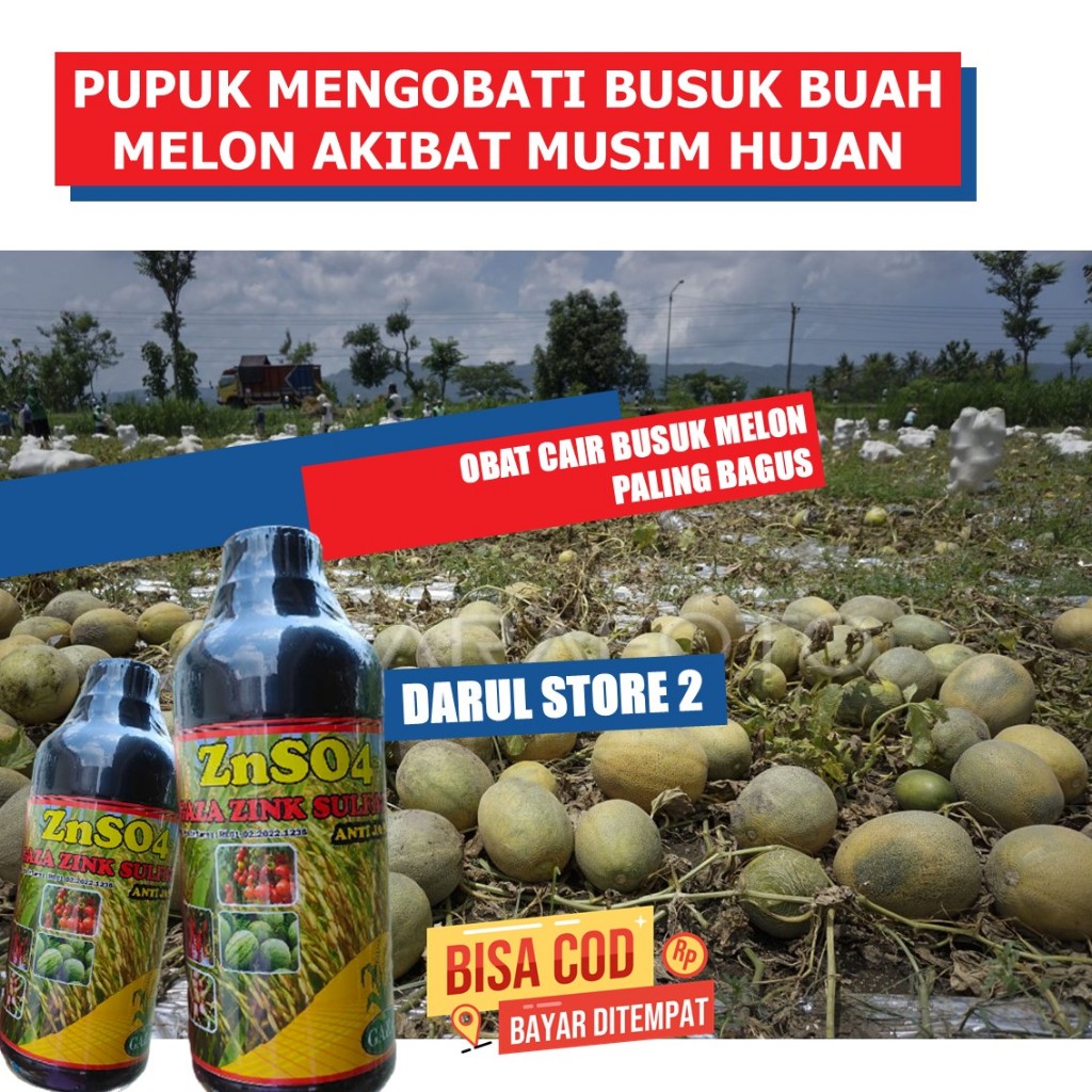 Jual OBAT DAUN BULAI/BUSUK BUAH MELON ZNSO PALING BAGUS - Pupuk Atasi ...