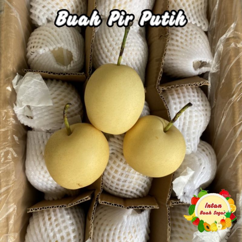 Jual BUAH PIR PUTIH 1 KG MANIS / BUAH PEAR CENTURY MANIS / BUAH PIR ...