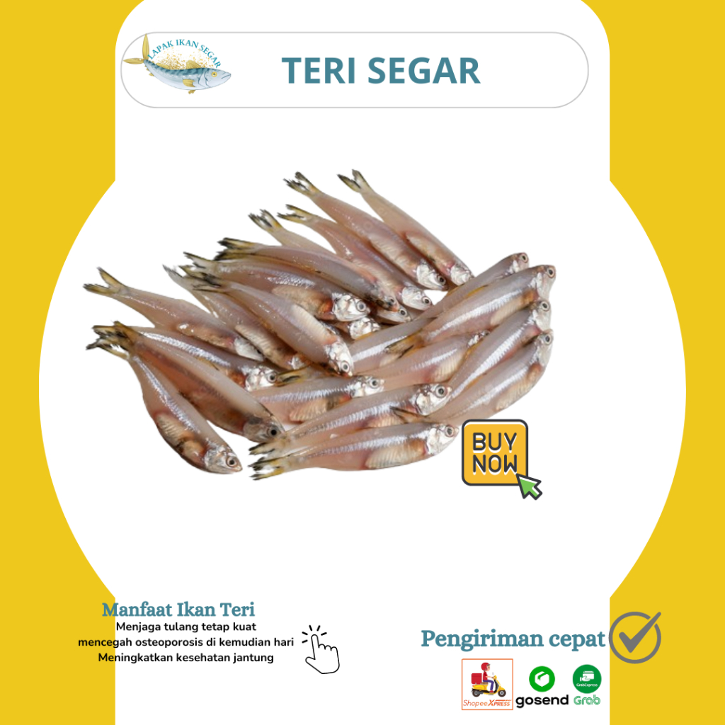 Jual Ikan Teri Galer Segar Fresh Beku Segar 1Kg | Shopee Indonesia