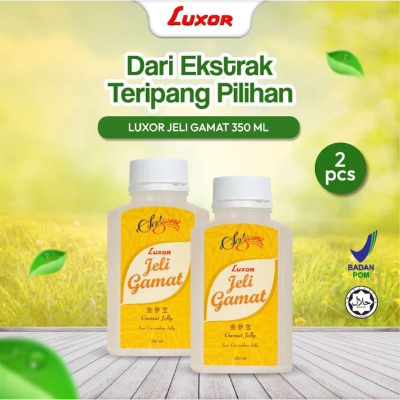 Jual Jelly Gamat Luxor 350ml x 2pcs Original Ekstrak Teripang Emas 100% ...