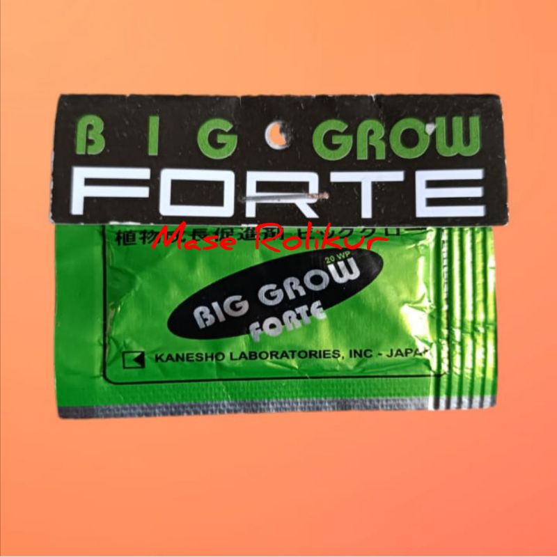 Jual pupuk ZPT BIG GROW FORTE isi 1 gram 1 saset | Shopee Indonesia