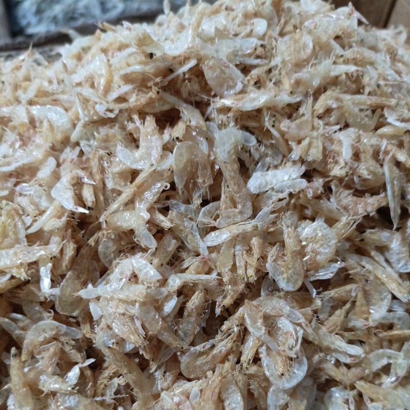 Jual ikan asin rebon tawar total | Shopee Indonesia