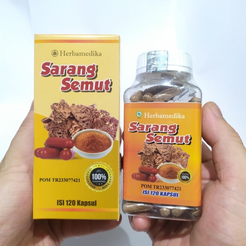 Jual kapsul Sarang Semut sarmut Herbamedika POM TR (isi 120 kapsul ...