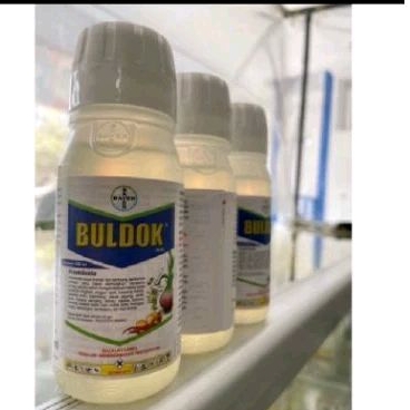 Jual BULDOK Insektisida 100ml EXPIRED BULAN 3-2024 | Shopee Indonesia