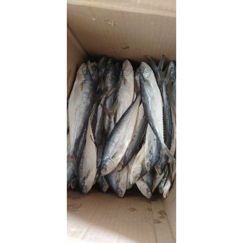 Jual Ikan Asin Talang 500g | Shopee Indonesia