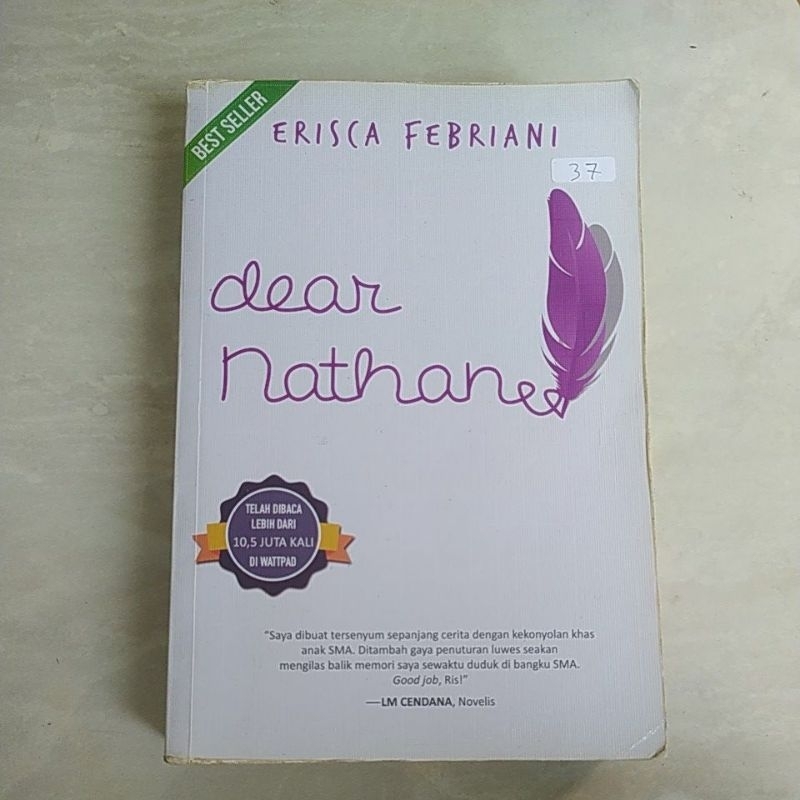 Jual Buku Novel Dear Nathan - Erisca Febriani Bekas Original Ori | Shopee Indonesia
