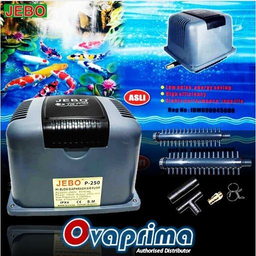 Jual Jebo P-250 Pompa Udara Aerator Hi-Flow Air Pump Blower P250 ...