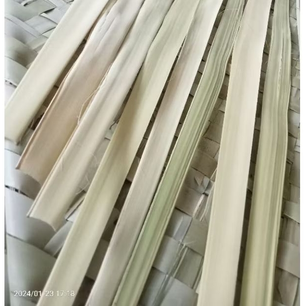 Jual Daun Siwalan Lontar Ental Type SEDANG Bahan Anyaman Kerajinan ...