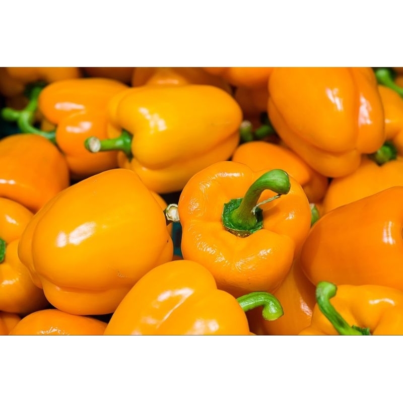 Jual paprika kuning fresh 1kg | Shopee Indonesia