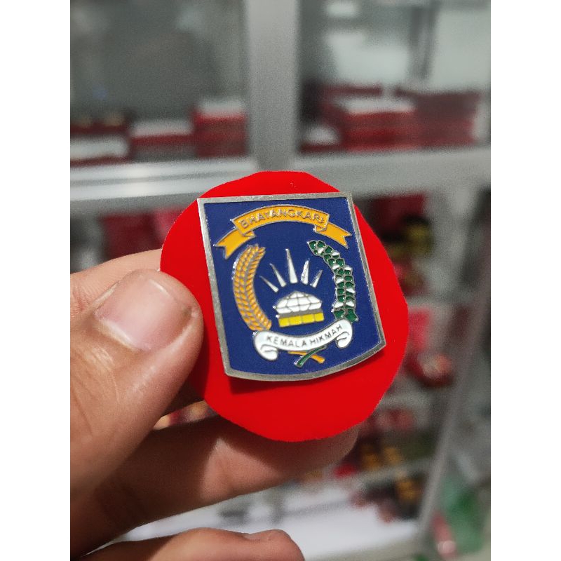 Jual pin bhayangkari pdh polri | pin bhayangkari polri premium | Shopee ...