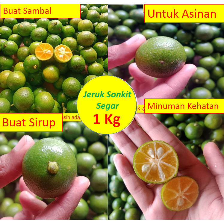 Jual Jeruk Sonkit Segar - Rasa Asem Kecut untuk Asinan dan Minuman ...