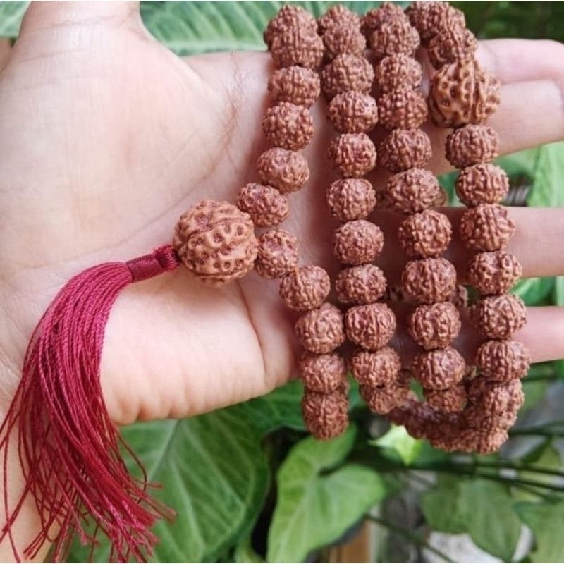 Jual tasbih jenitri rudraksha original 99 butir | Shopee Indonesia