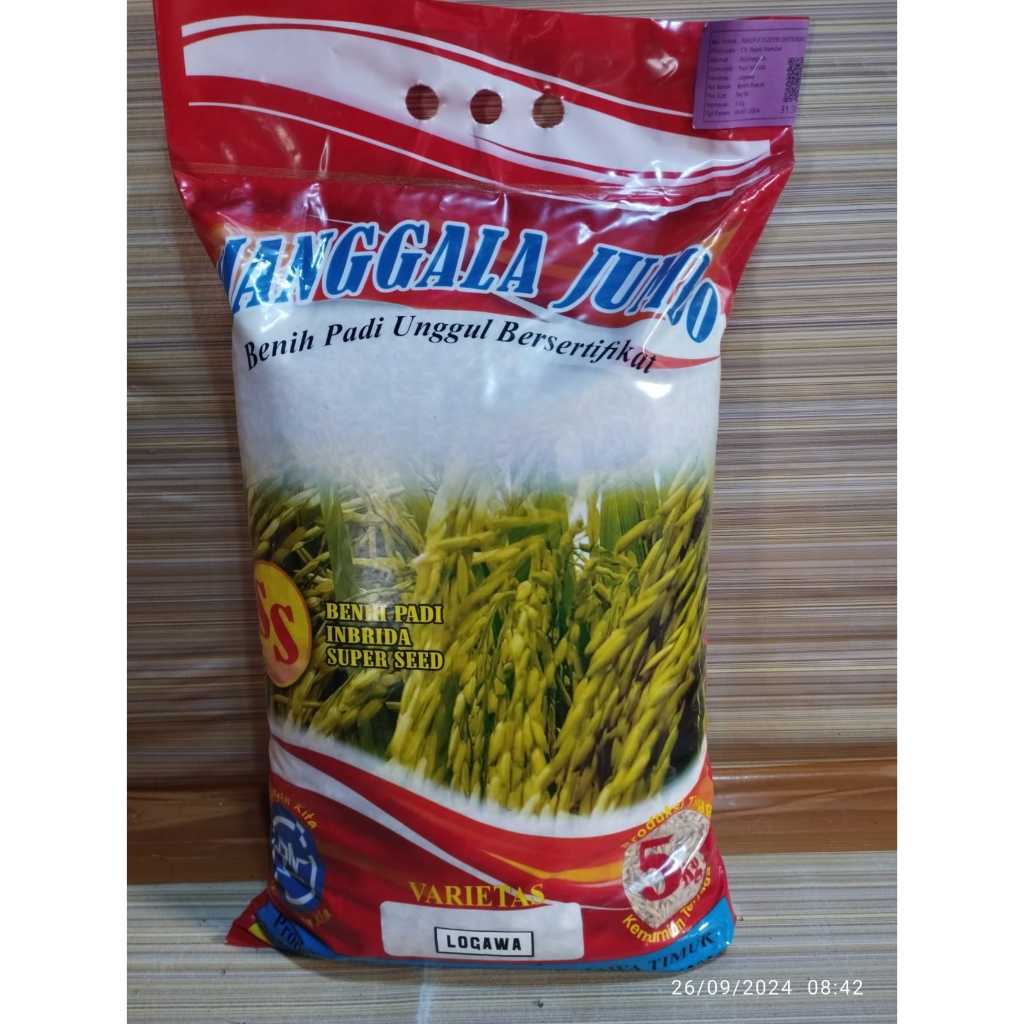 Jual BENIH PADI VARIETAS LOGAWA | Shopee Indonesia
