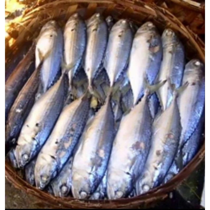 Jual Ikan kembung rebus /gembung rebus khas medan | Shopee Indonesia