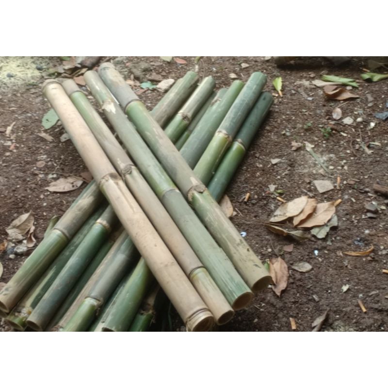 Jual Bambu bulat utuh murah panjang 1 meter | Shopee Indonesia