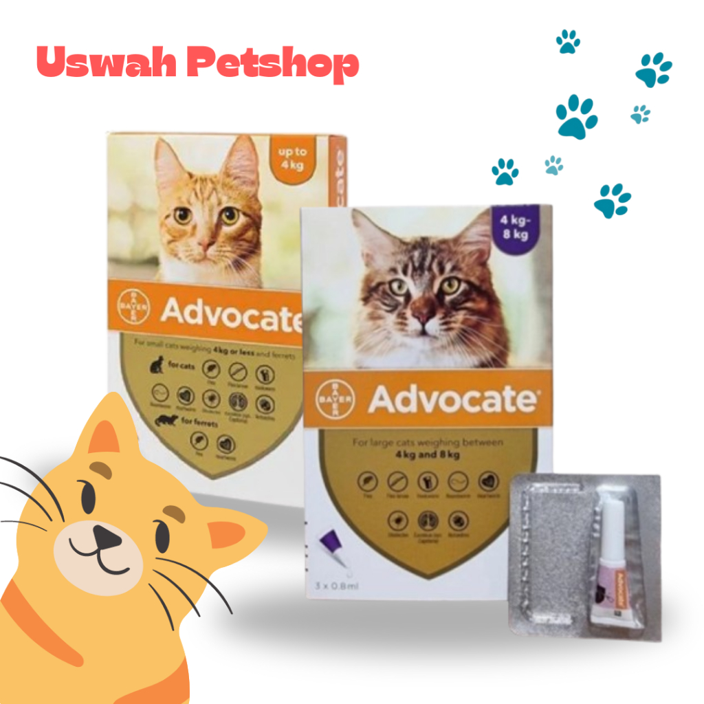 Jual Advocate Cat S