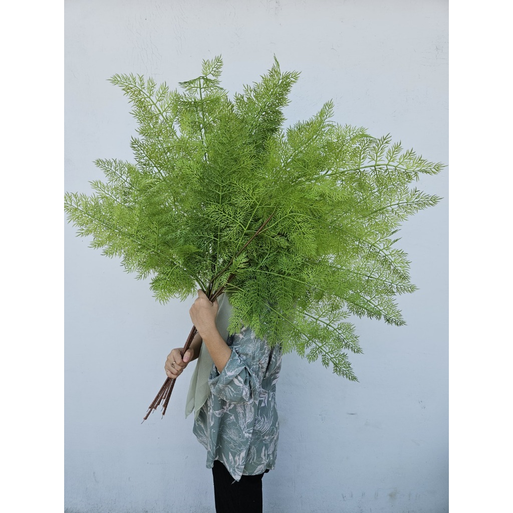 Jual Bunga artificial Daun Cemara Premium Asparagus Tangkai Panjang ...
