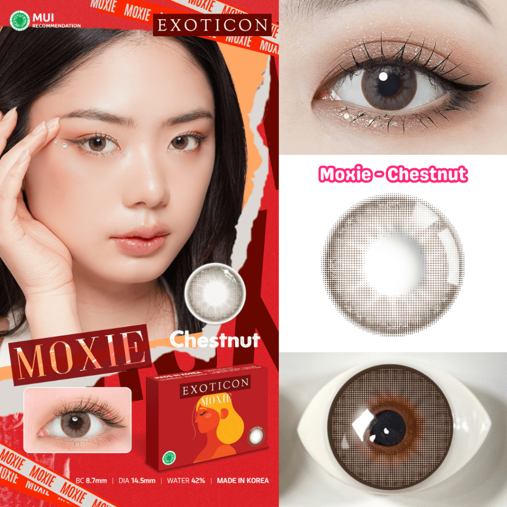 Jual Exoticon Softlens Moxie Varian Chestnut | Terracotta | Pacific ...