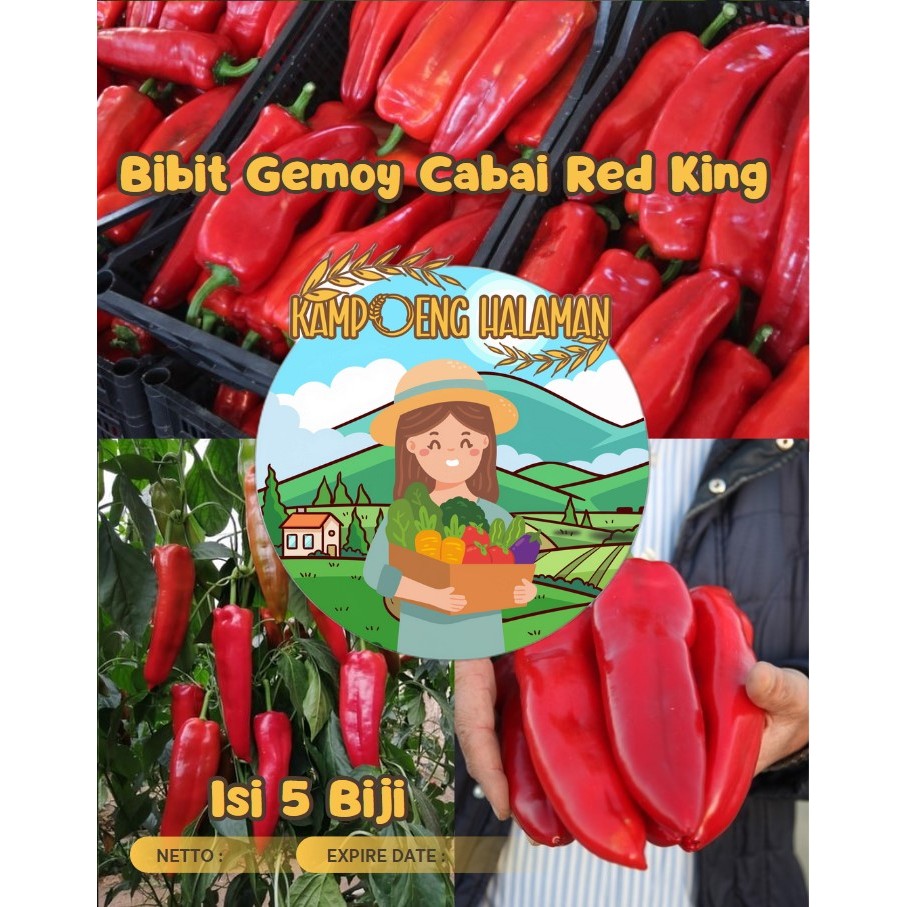 Jual Bibit Gemoy Cabai Red king | Benih Cabe Raksasa | Cabai raksasa ...