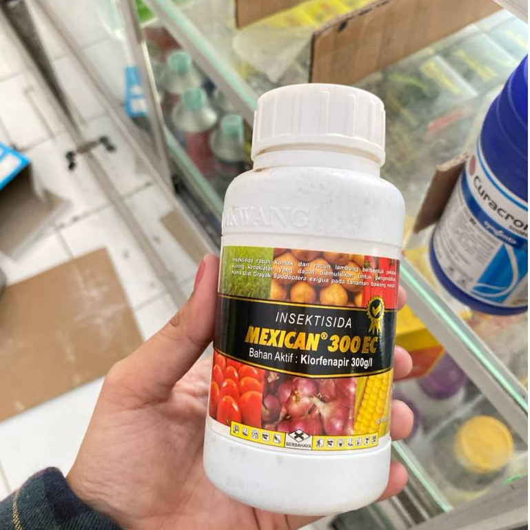 Jual MEXICAN 300EC 200ML | Shopee Indonesia