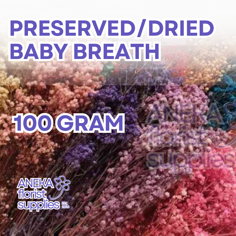 Jual [100 GR] Preserved Baby Breath Grosir / Dried Flower Baby Breath ...