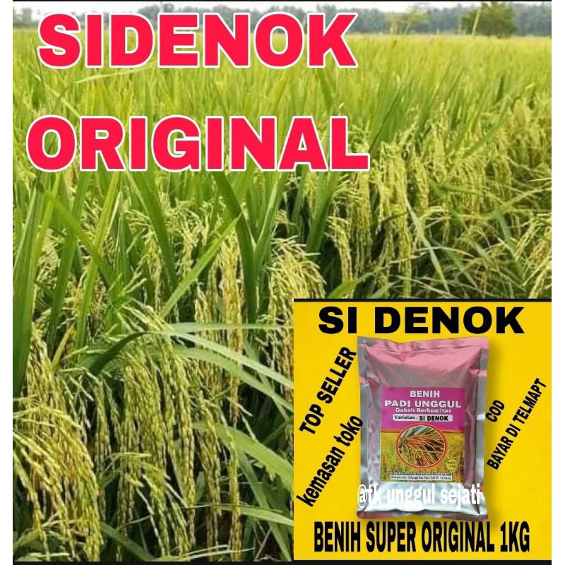 Jual BENIH PADI SI DENOK 1KG ORIGINAL 100% KEMASAN ASLI | Shopee Indonesia