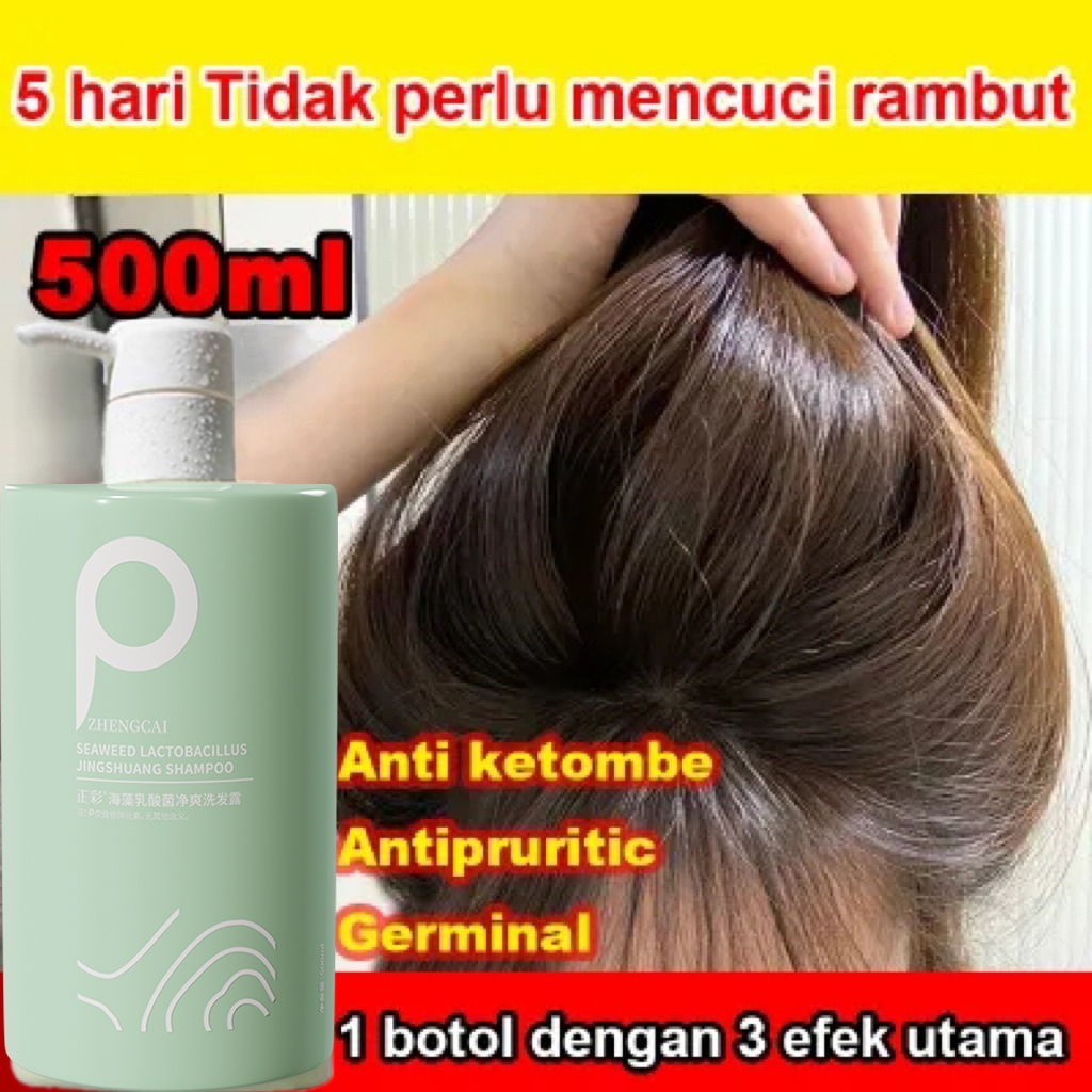 Jual Sampo Anti Ketombe Penghilang Ketombe Anti Gatal Sampo Sea Salt Sampo Anti Rambut Rontok ...