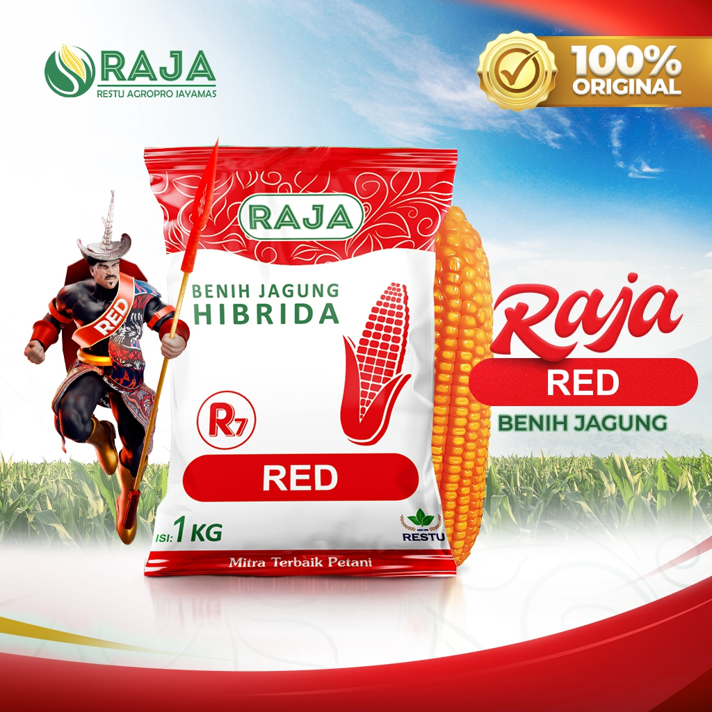 Jual Benih Jagung RAJA R7 Red - 1kg | Shopee Indonesia