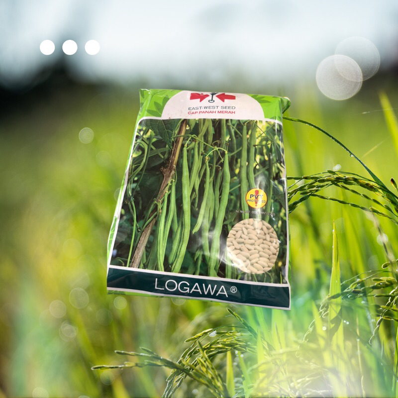 Jual Buncis Logawa 500g | Shopee Indonesia
